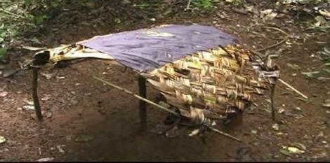 the Living Heritage of the Mijikenda Kaya Forest | Intangible Heritage ...