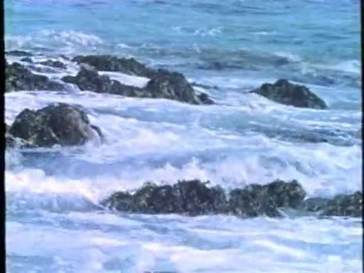 Sauver la Mer | Basic Sciences - UNESCO Multimedia Archives