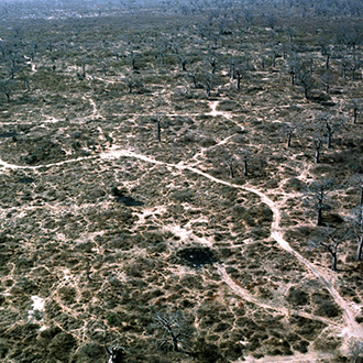 Salt of the Earth: Arid Zone Research and the Conversion of Salt Water ...