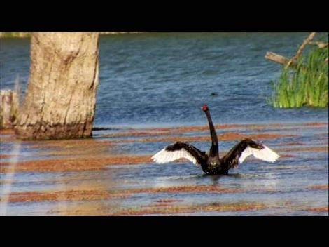Biosphere Reserves: an Example of Sustainability | Earth Sciences ...
